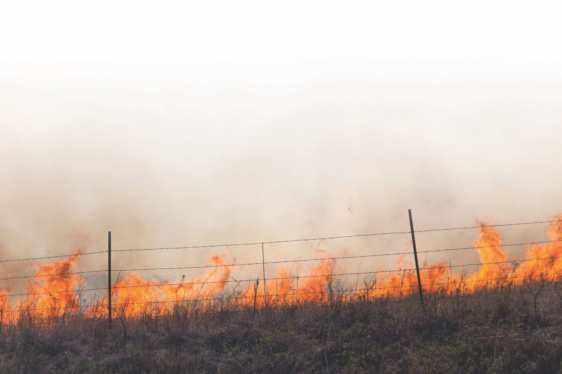 First BAL 40 Rated Treated Pine, FLAMEfixx dFx - Dahlsens