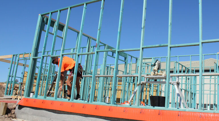 Blue framing timber - Dahlsens